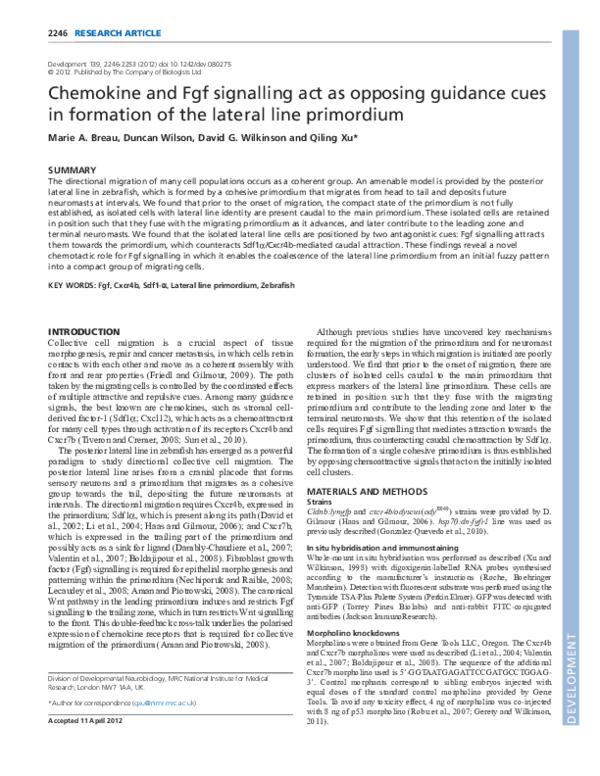 (PDF) Chemokine and Fgf signalling act as opposing guidance cues in ...