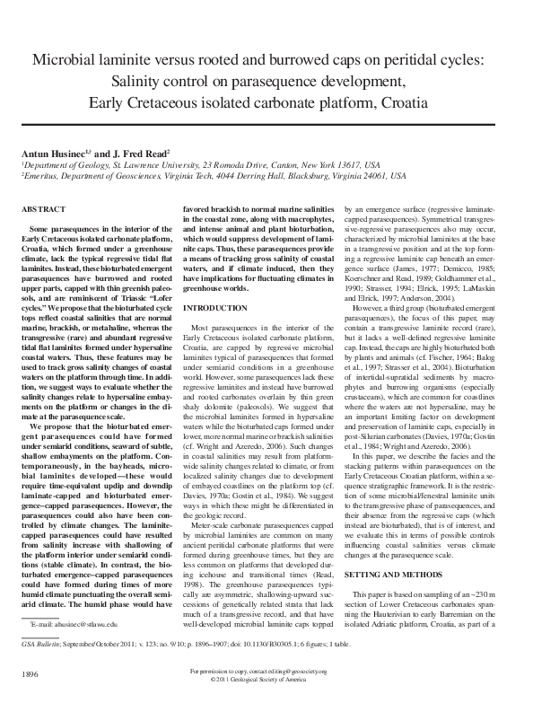 (PDF) Microbial laminite versus rooted and burrowed caps on peritidal ...