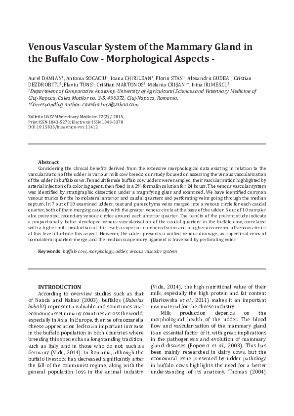 (PDF) Venous Vascular System of the Mammary Gland in the Buffalo Cow ...