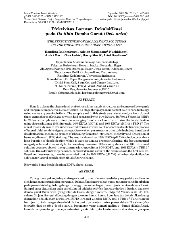 (PDF) Efektivitas Larutan Dekalsifikasi pada Os tibia Domba Garut (Ovis ...