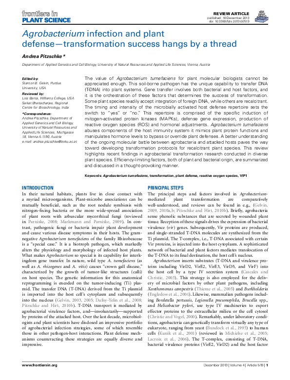 (PDF) Agrobacterium infection and plant defense-transformation success ...
