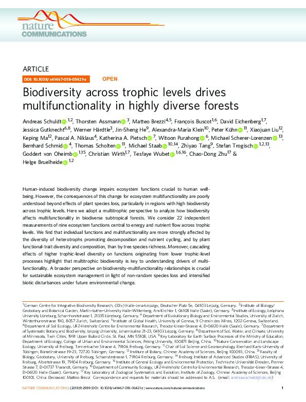 (PDF) Biodiversity across trophic levels drives multifunctionality in ...
