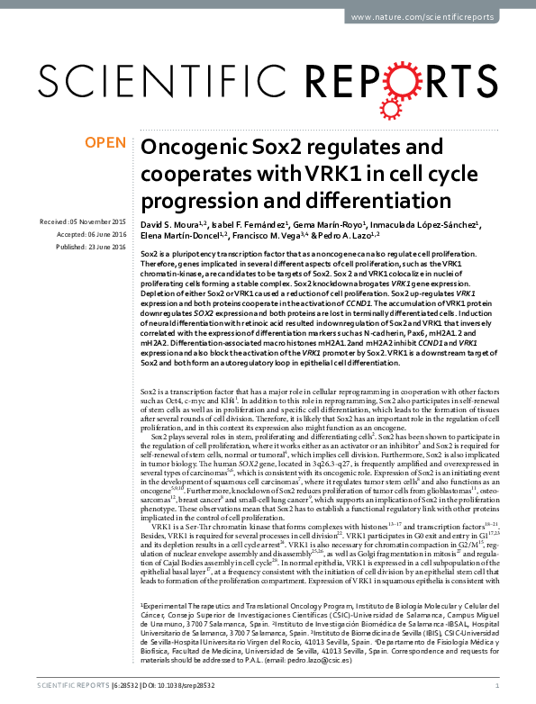 (PDF) Oncogenic Sox2 regulates and cooperates with VRK1 in cell cycle ...