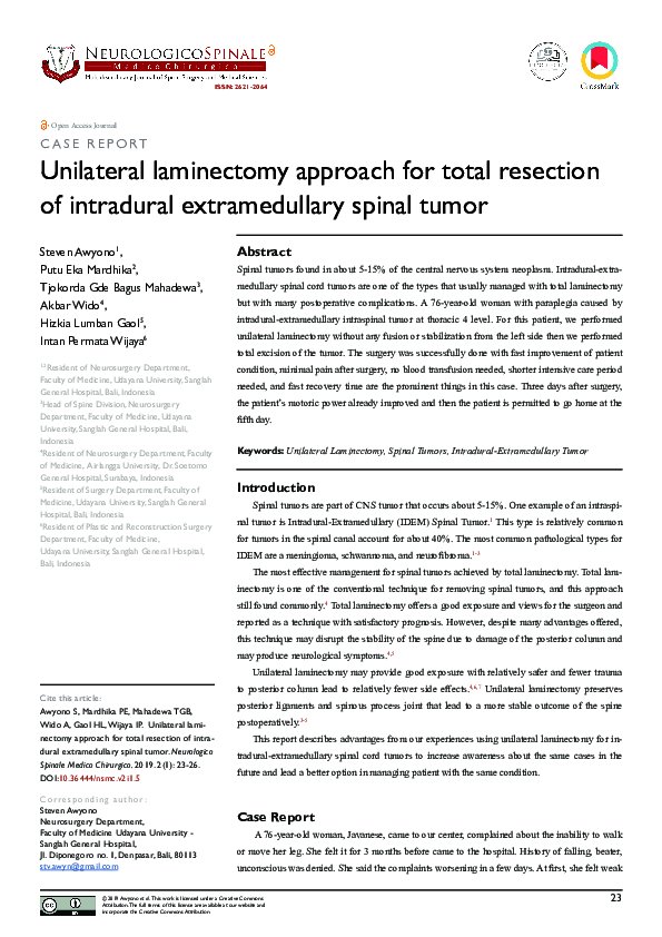 (PDF) Unilateral laminectomy approach for total resection of intradural ...