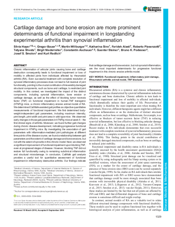 (PDF) Preservation of cartilage and bone architecture is the most ...