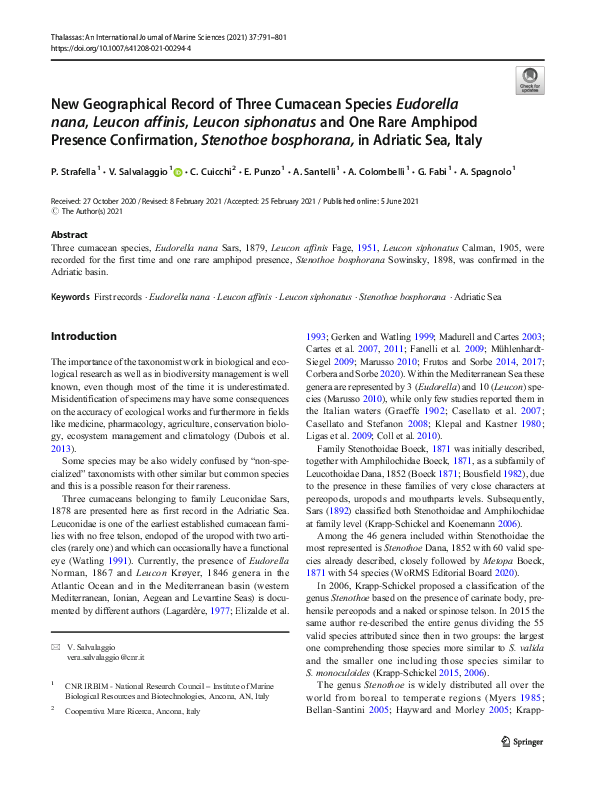 (PDF) New Geographical Record of Three Cumacean Species Eudorella nana ...