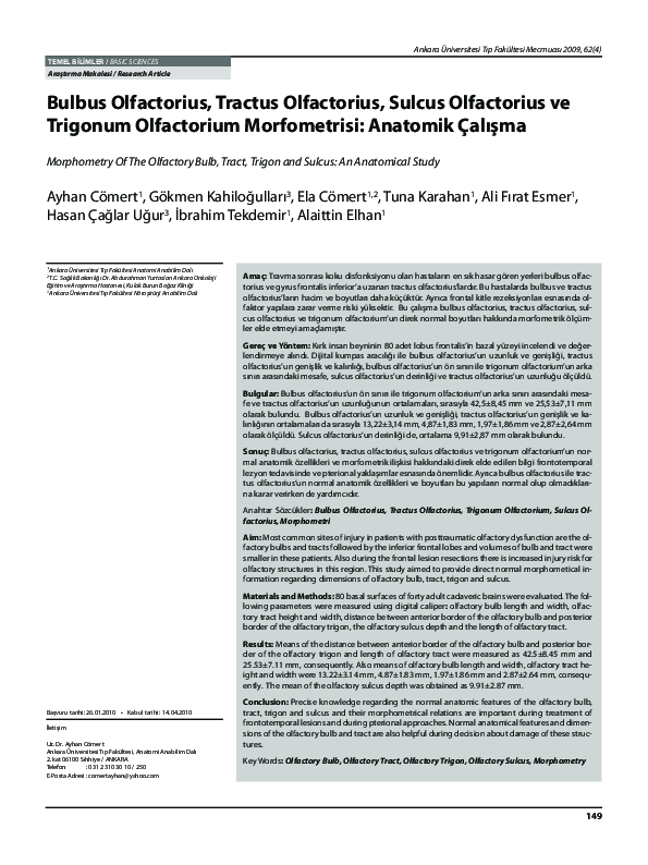(PDF) Bulbus Olfactorius, Tractus Olfactorius, Sulcus Olfactorius ve ...