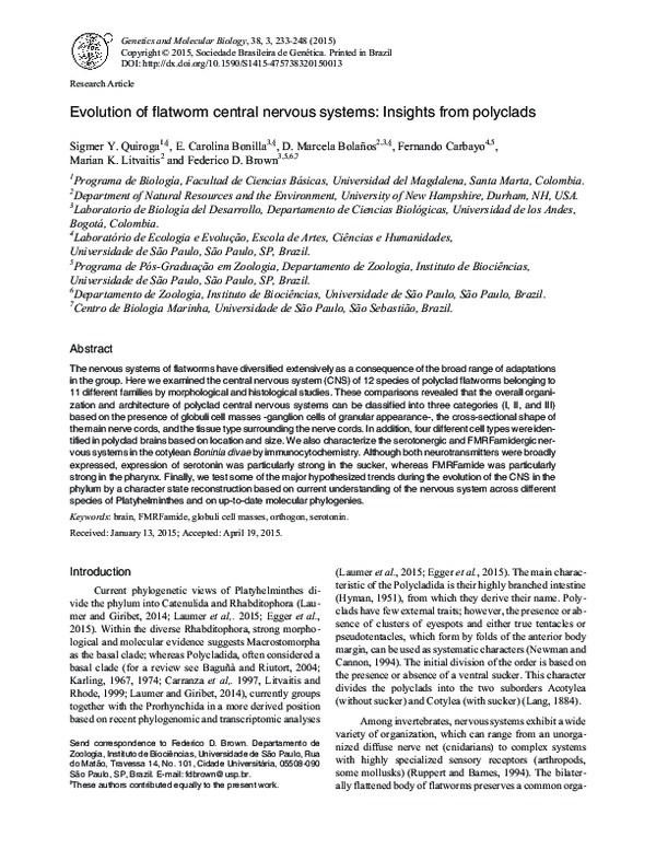 (PDF) Evolution of flatworm central nervous systems: Insights from ...