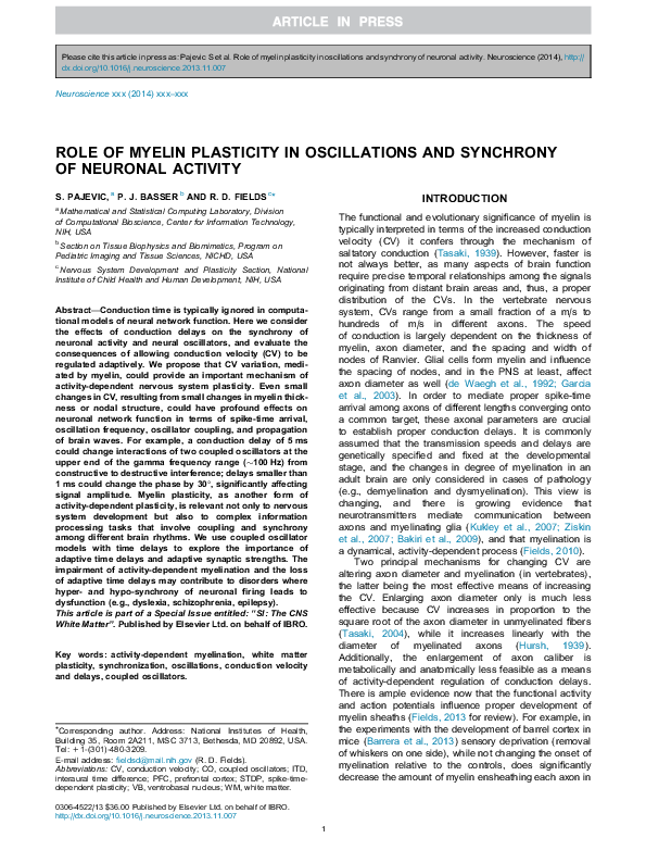 (PDF) Role of myelin plasticity in oscillations and synchrony of ...