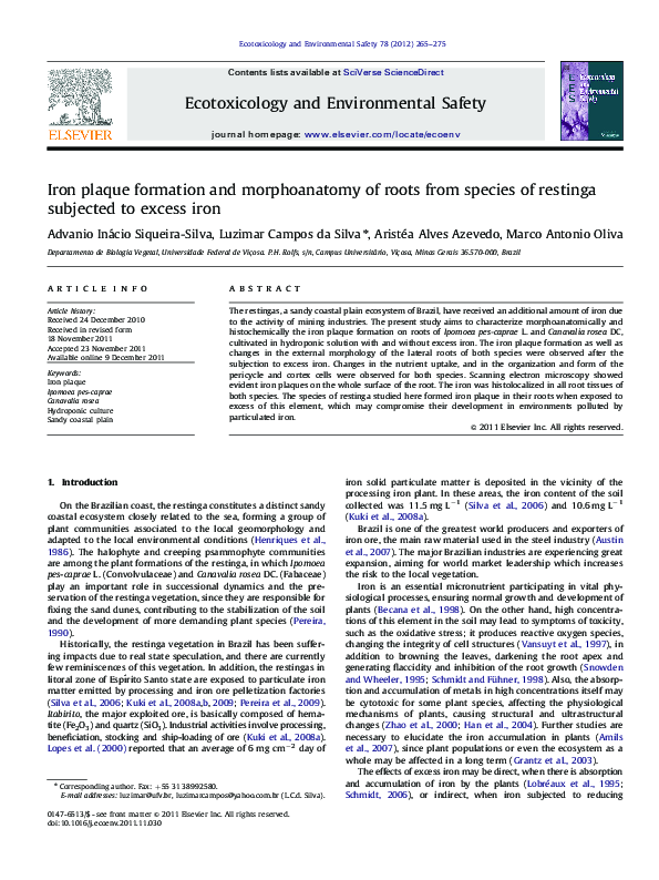 (PDF) Iron plaque formation and morphoanatomy of roots from species of ...