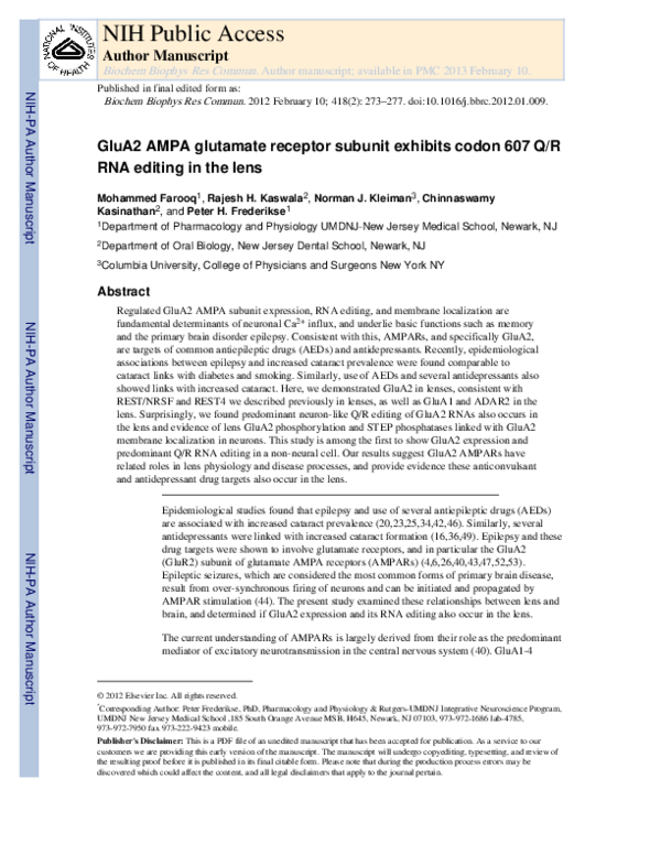 (PDF) GluA2 AMPA glutamate receptor subunit exhibits codon 607 Q/R RNA ...