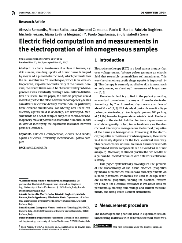 (PDF) Electric field computation and measurements in the ...