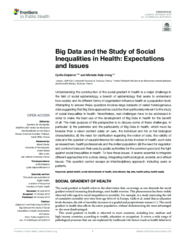 (PDF) Big Data's Role in Analyzing Health Inequalities