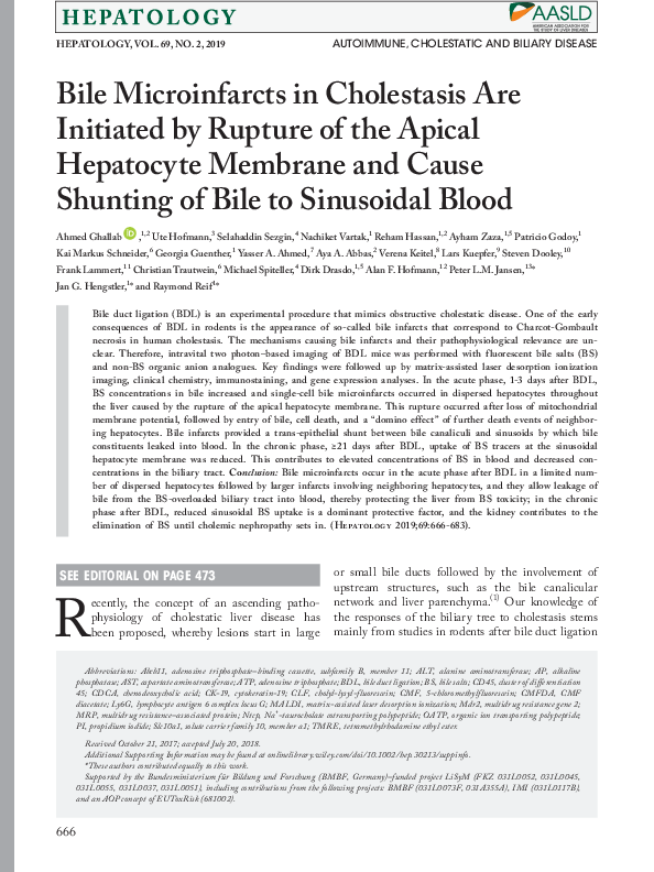 (PDF) Bile Micro-Infarcts in Cholestasis Mechanisms