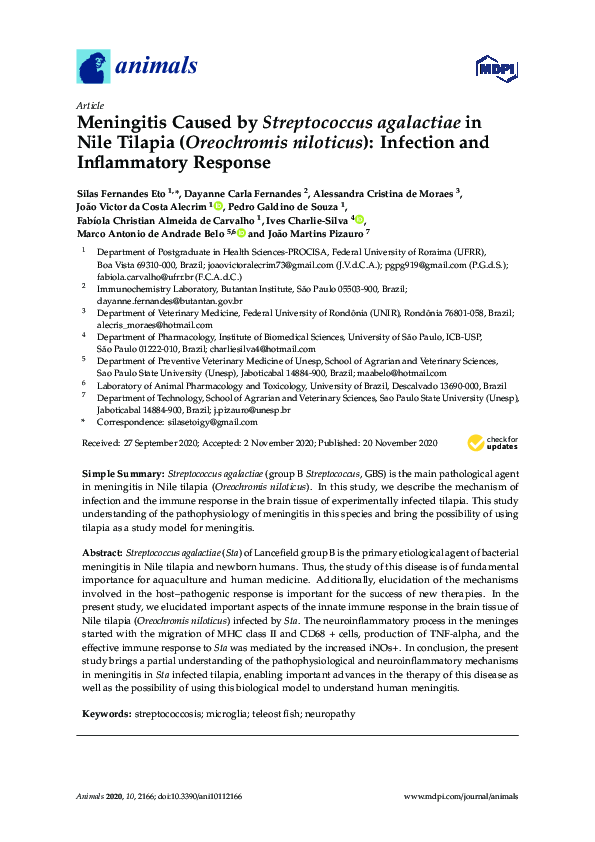 (PDF) Meningitis Caused by Streptococcus agalactiae in Nile Tilapia (Oreochromis niloticus ...