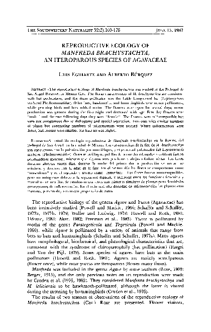 (PDF) Reproductive Ecology of Manfreda brachystachya, an Iteroparous ...