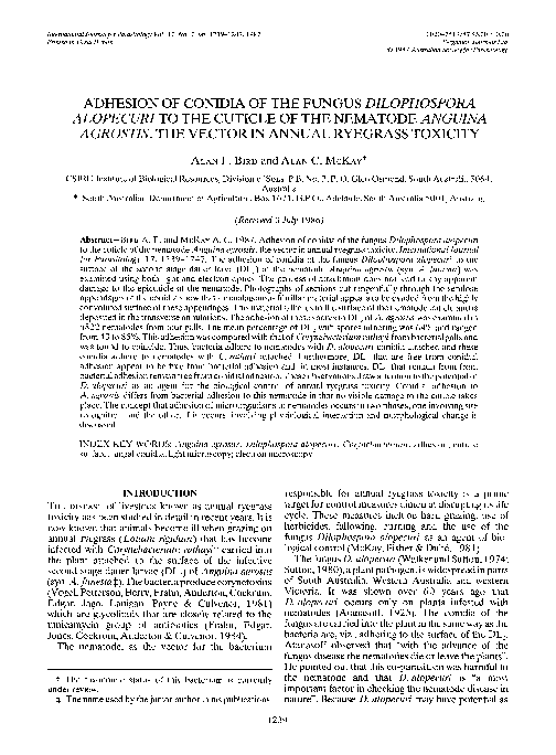 (PDF) Adhesion of conidia of the fungus Dilophospora alopecuri to the ...
