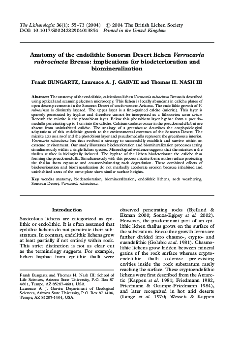 (PDF) Biologically-Induced Mineralization by the Endolithic Lichen ...