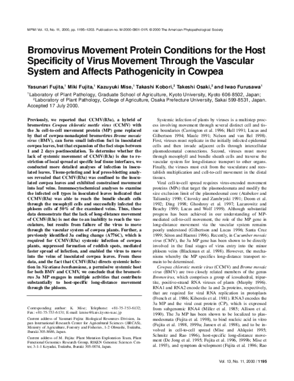 (PDF) Bromovirus Movement Protein Conditions for the Host Specificity ...