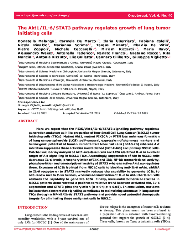 (PDF) The Akt1/IL-6/STAT3 pathway regulates growth of lung tumor ...