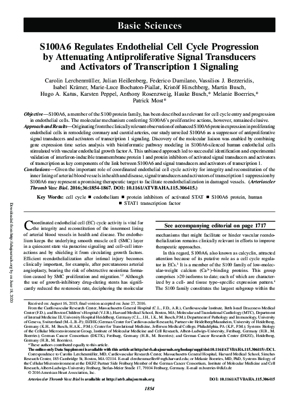 (PDF) S100A6 Regulates Endothelial Cell Cycle Progression via ...