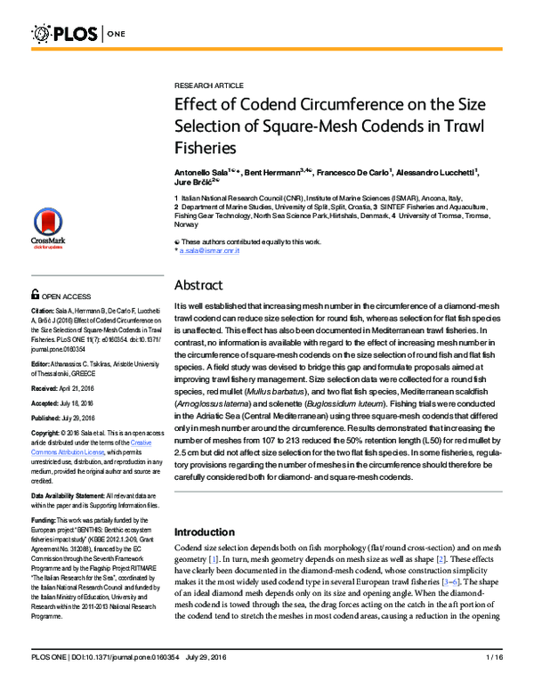 (PDF) Effect of Codend Circumference on the Size Selection of Square ...