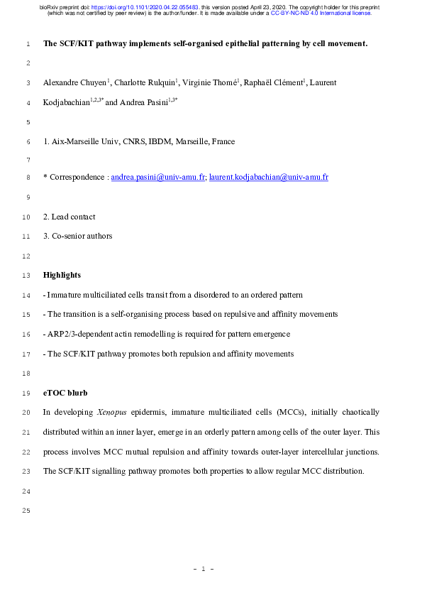 (PDF) The SCF/KIT pathway implements self-organised epithelial ...