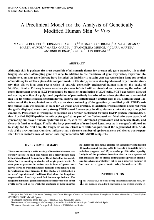 (PDF) A Preclinical Model for the Analysis of Genetically Modified ...