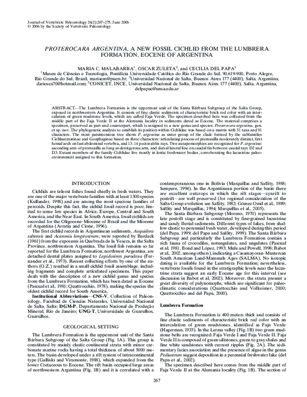 (PDF) Proterocara argentina , a new fossil cichlid from the Lumbrera ...