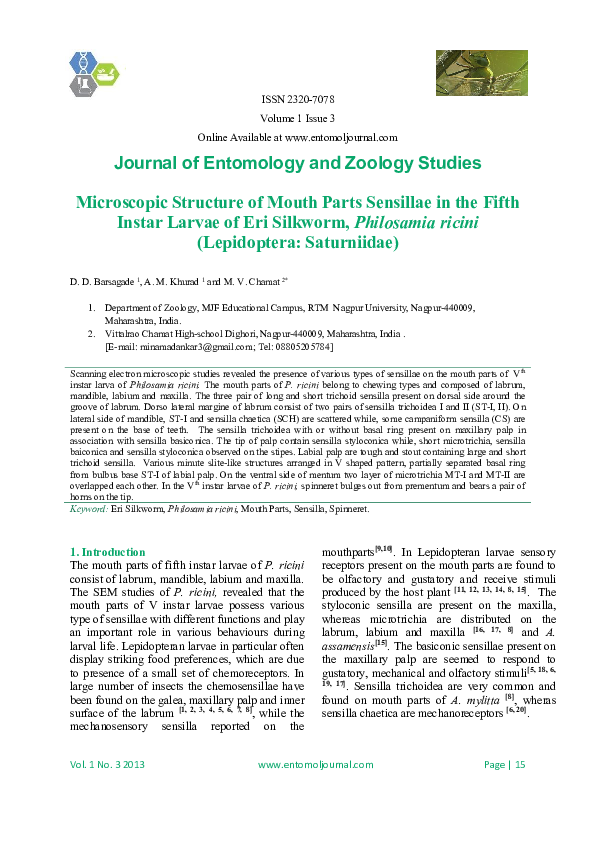 (PDF) Studies Microscopic Structure of Mouth Parts Sensillae in the ...