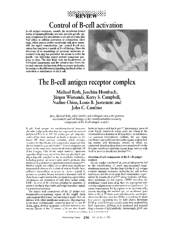(PDF) The B-cell antigen receptor complex