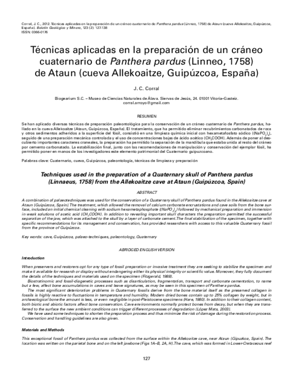 (PDF) Técnicas aplicadas en la preparación de un cráneo cuaternario de ...