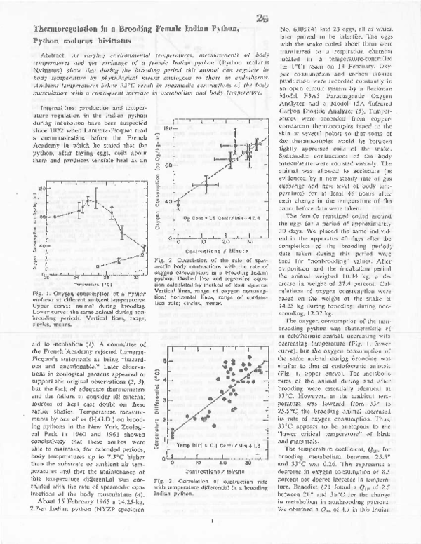 (PDF) Thermoregulation in a brooding female Indian python, Python ...