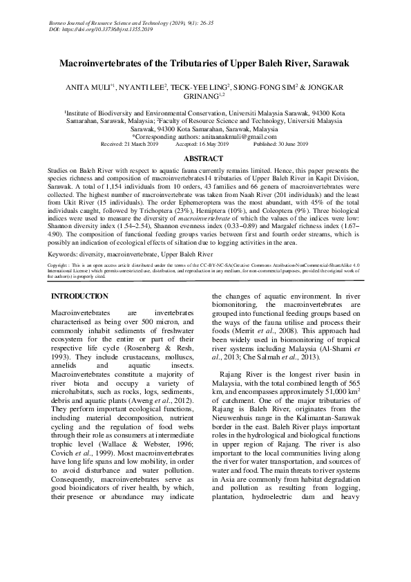 (PDF) Macroinvertebrates of the Tributaries of Upper Baleh River ...