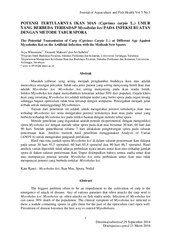 (PDF) POTENSI TERTULARNYA IKAN MAS (Cyprinus carpio L.) UMUR YANG ...