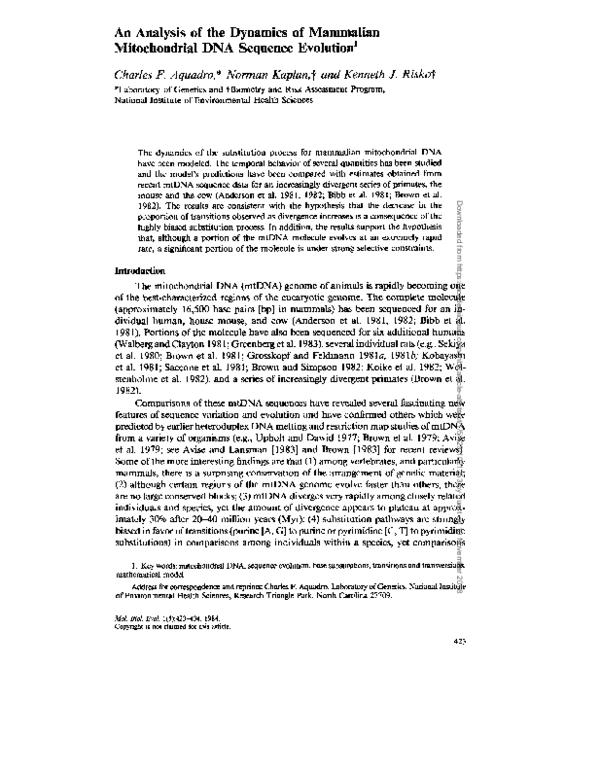 (PDF) An Analysis of the Dynamics of Mammalian Mitochondrial DNA ...
