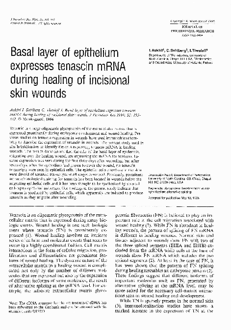 (PDF) Basal layer of epithelium expresses tenascin mRNA during healing ...