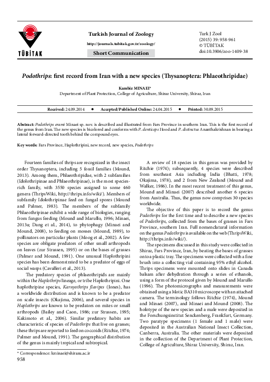 (PDF) Podothrips: first record from Iran with a new species ...