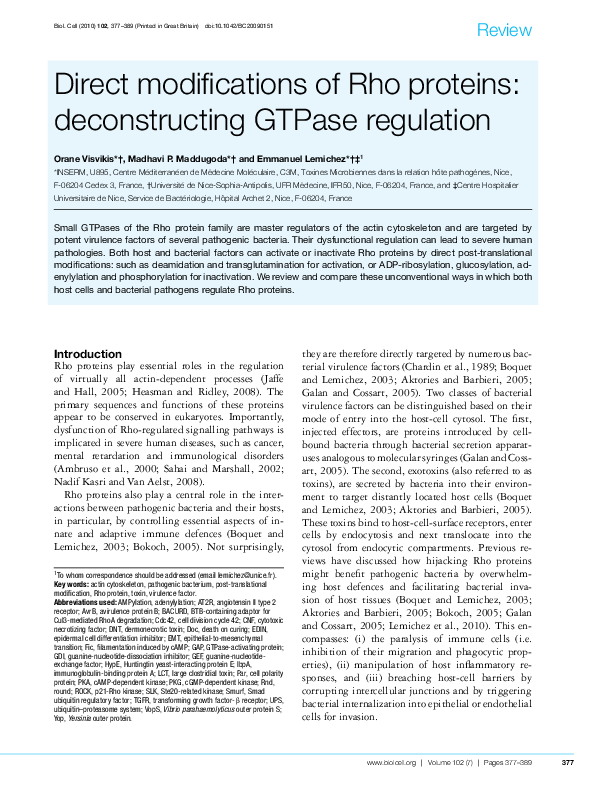 (PDF) Direct modifications of Rho proteins: deconstructing GTPase ...