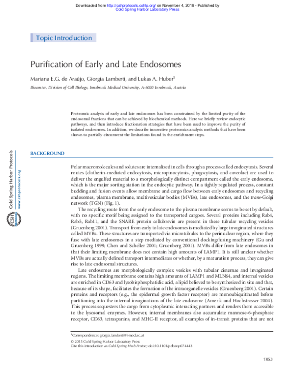 (PDF) Purification of Early and Late Endosomes