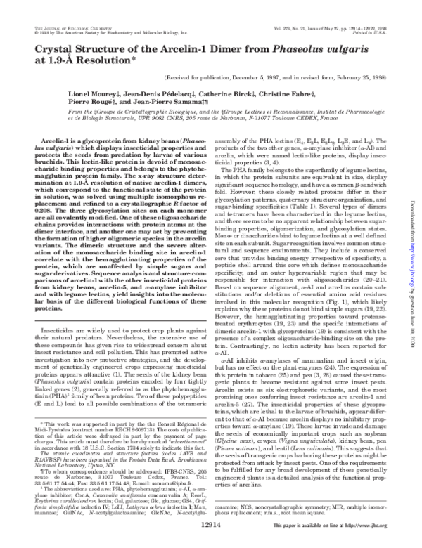 (PDF) Crystal structure of the arcelin-1 dimer from Phaseolus vulgaris ...