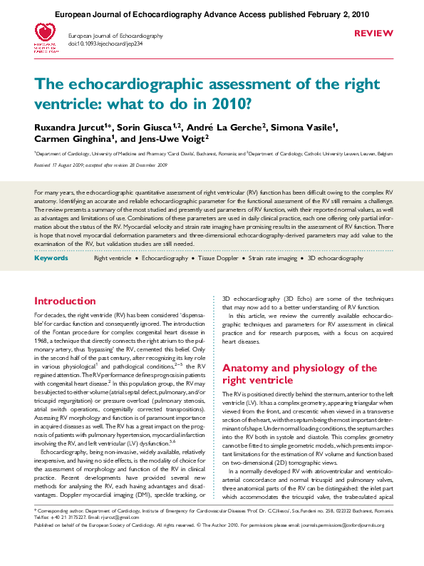 (PDF) The echocardiographic assessment of the right ventricle: what to ...