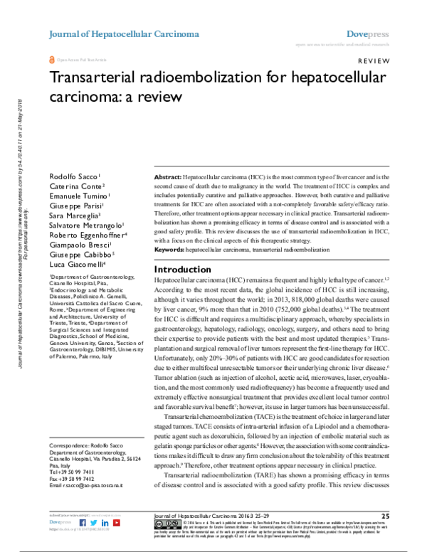 (PDF) Transarterial radioembolization for hepatocellular carcinoma: a review