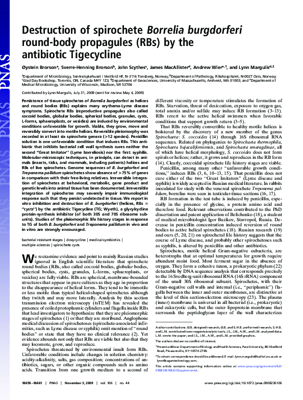 (PDF) Destruction of spirochete Borrelia burgdorferi round-body ...