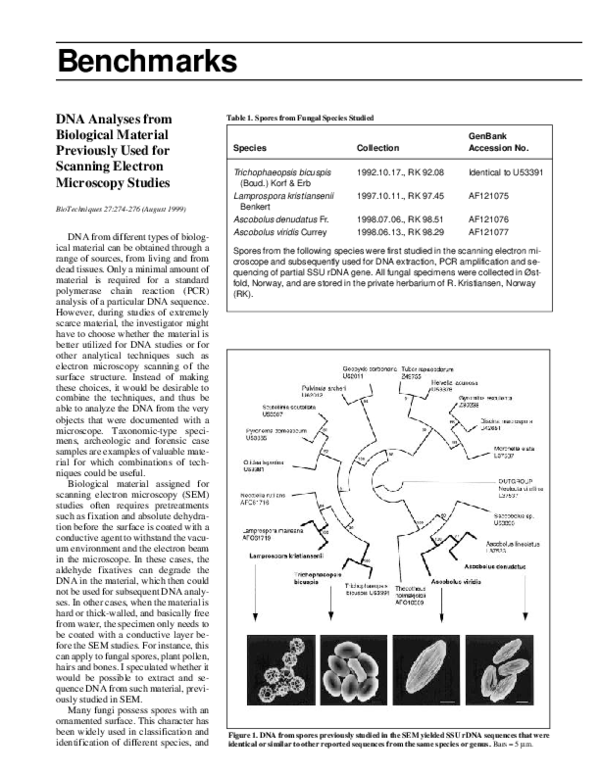 (PDF) DNA analyses from biological material previously used for ...