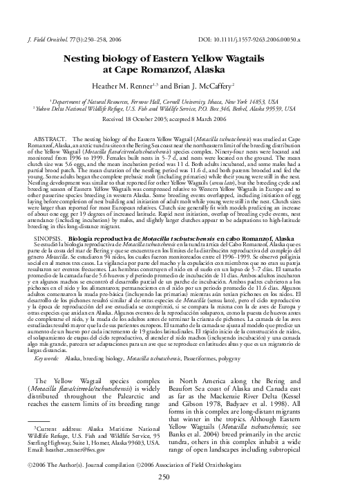 (PDF) Nesting biology of Eastern Yellow Wagtails at Cape Romanzof, Alaska