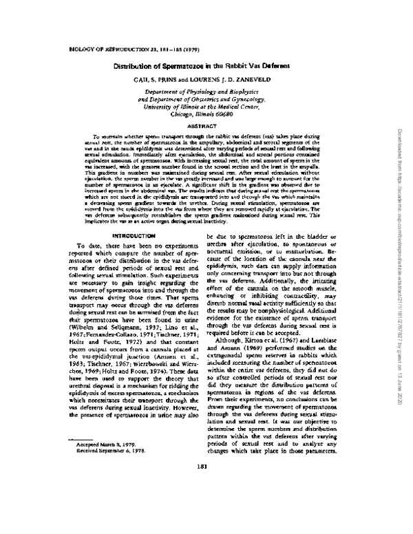 (PDF) Distribution of Spermatozoa in the Rabbit Vas Deferens