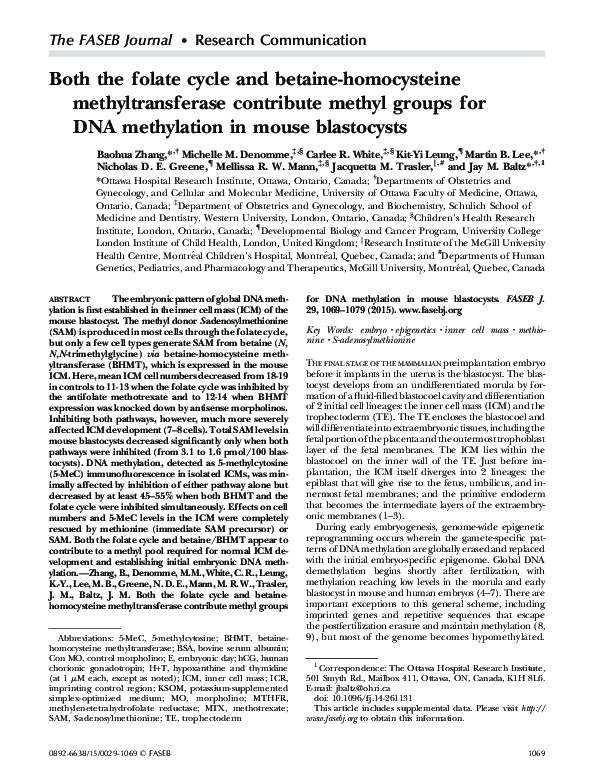 (PDF) Both the folate cycle and betaine-homocysteine methyltransferase ...