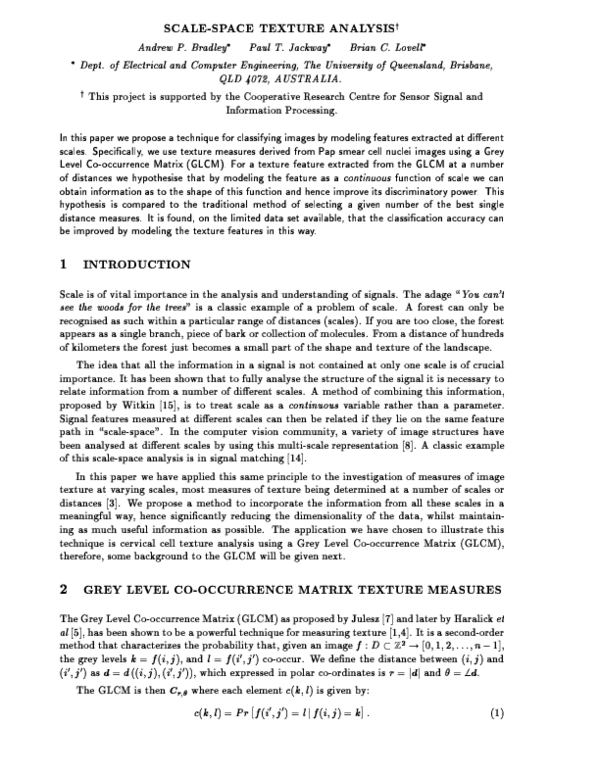 (PDF) Scale-Space Texture Analysis