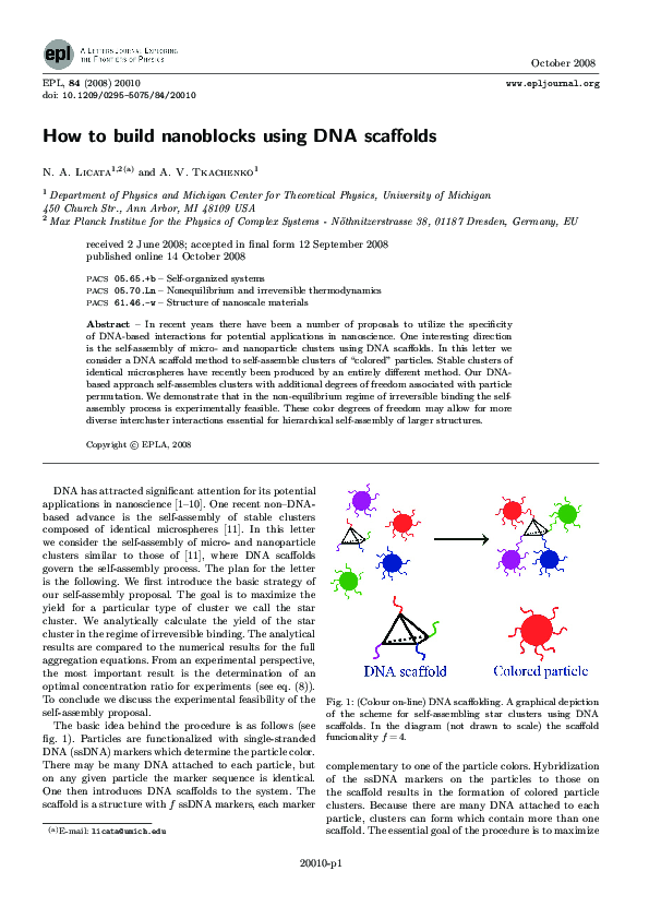 (PDF) How to build nanoblocks using DNA scaffolds
